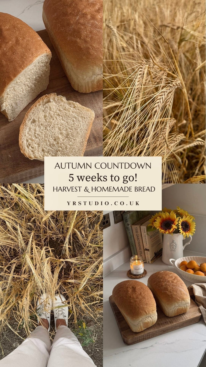 Slow living in the English Countryside | ADRIANA TUDORACHE BLOG – tagged "Autumn Countdown" – YR ...